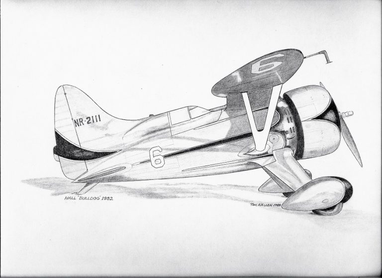 Howard DGA-6 “Mister Mulligan” - The Gee Bee.com